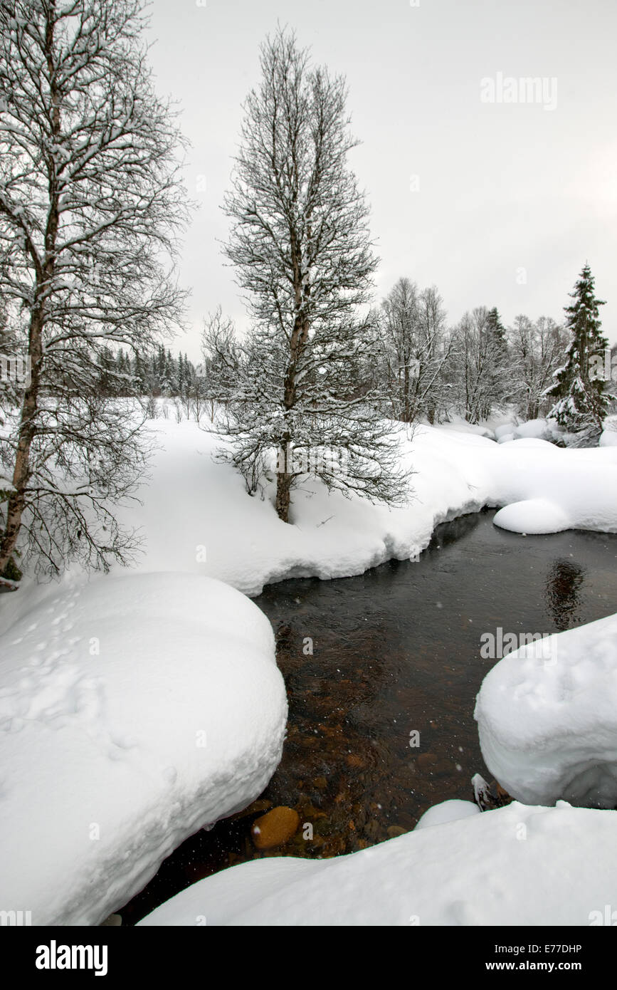 Picture from telemark, norway, winter landscape in rauland Stock Photo ...
