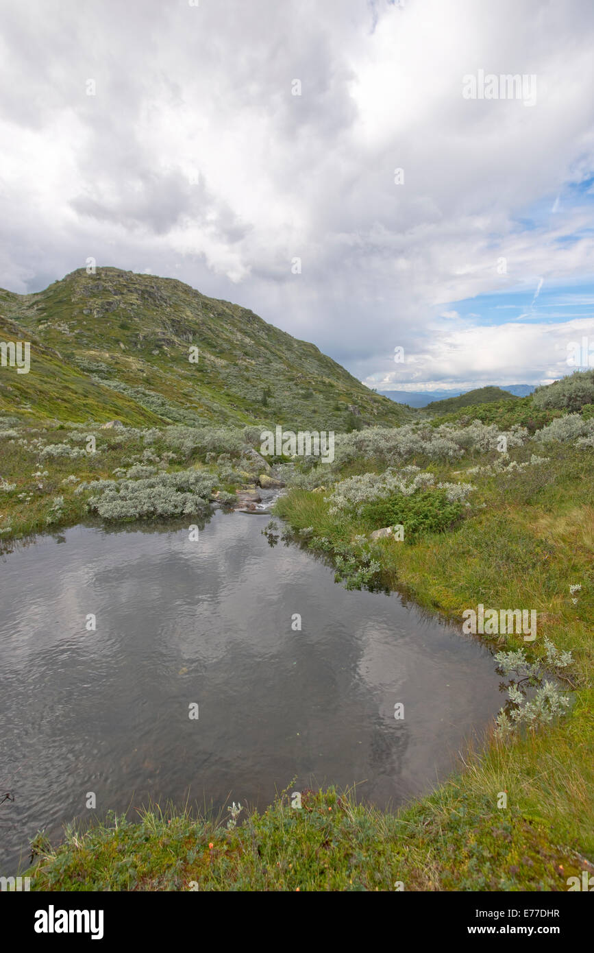 Picture from telemark, norway, summer landscape in rauland, 1200m ...
