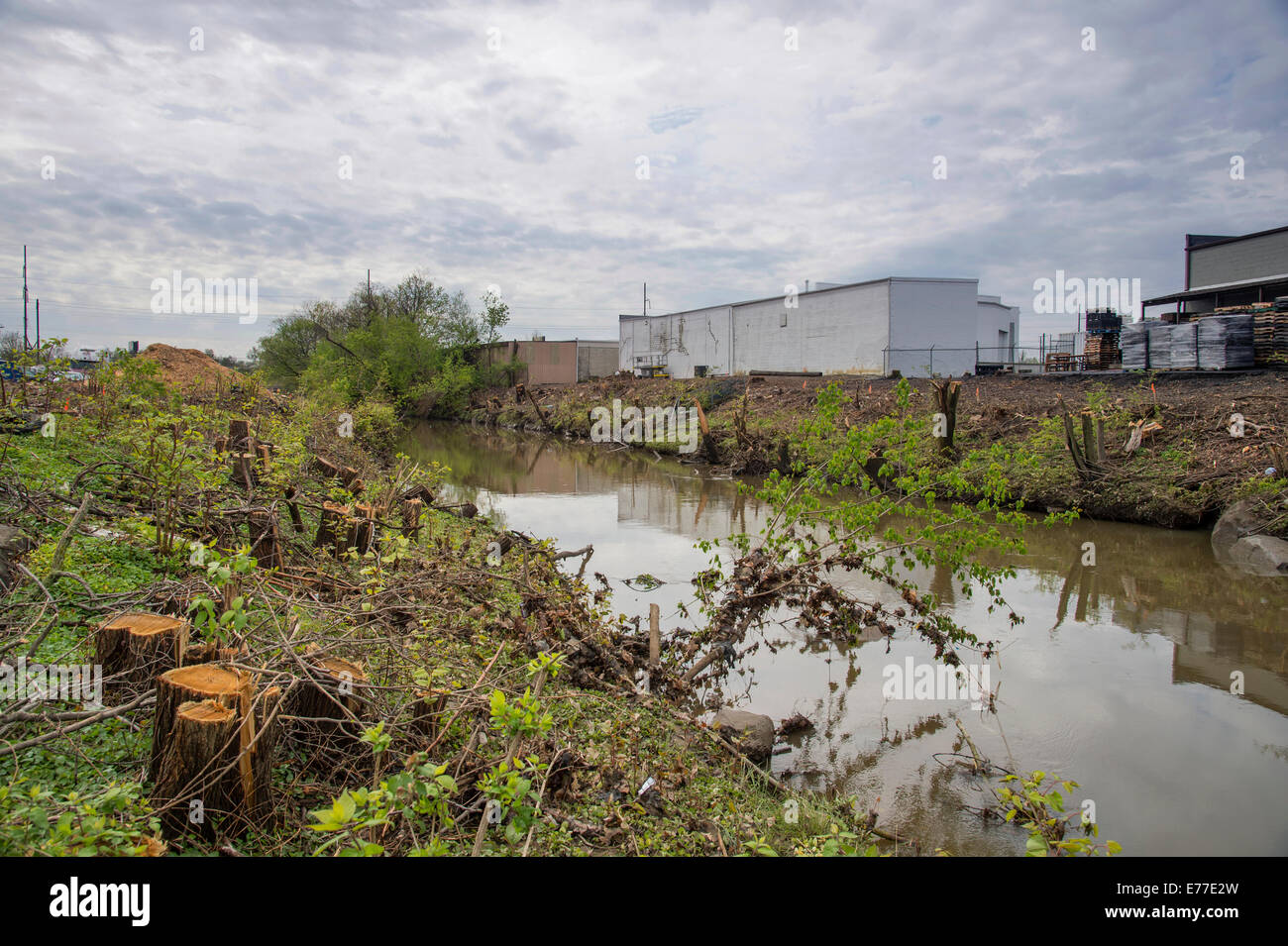 Trees Cut Down And Vegetation Removed Along Stream Stock Photo - Alamy