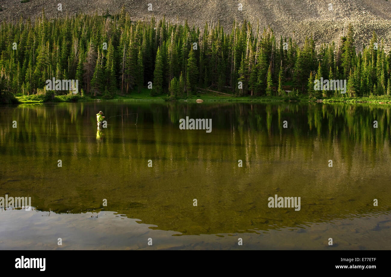 Trout fly fisherman hi-res stock photography and images - Alamy