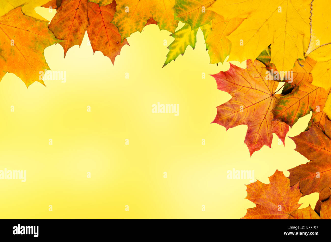 Autumn leaves frame Stock Photo - Alamy