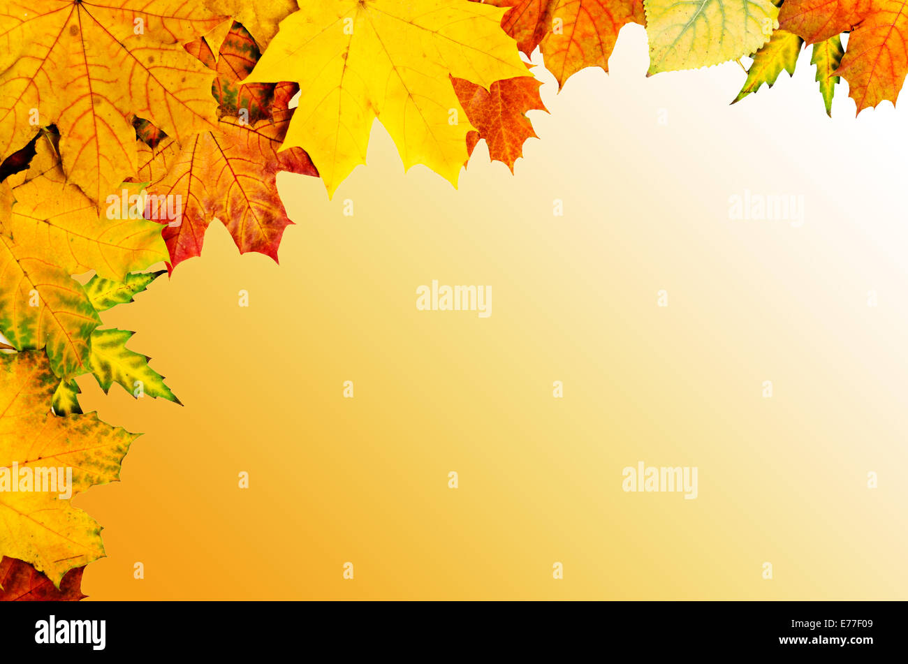 Autumn leaves frame Stock Photo - Alamy