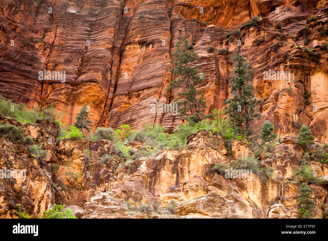 High canyon walls hi-res stock photography and images - Alamy