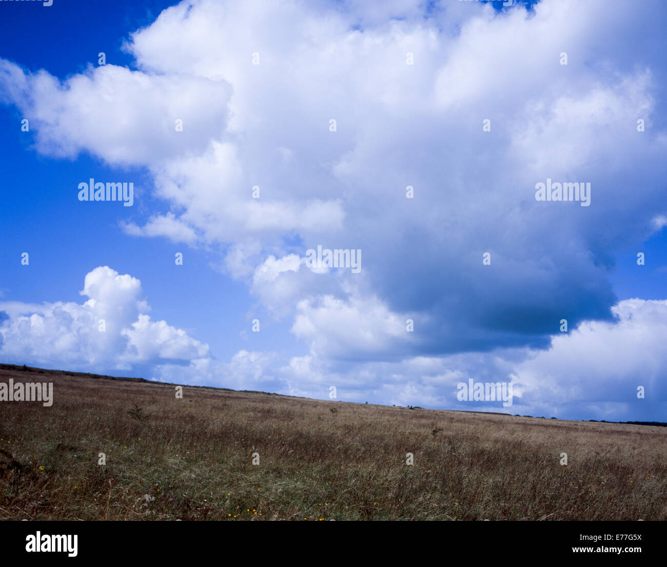 A view across Martin Down part of a National Nature Reserve The Dorset ...