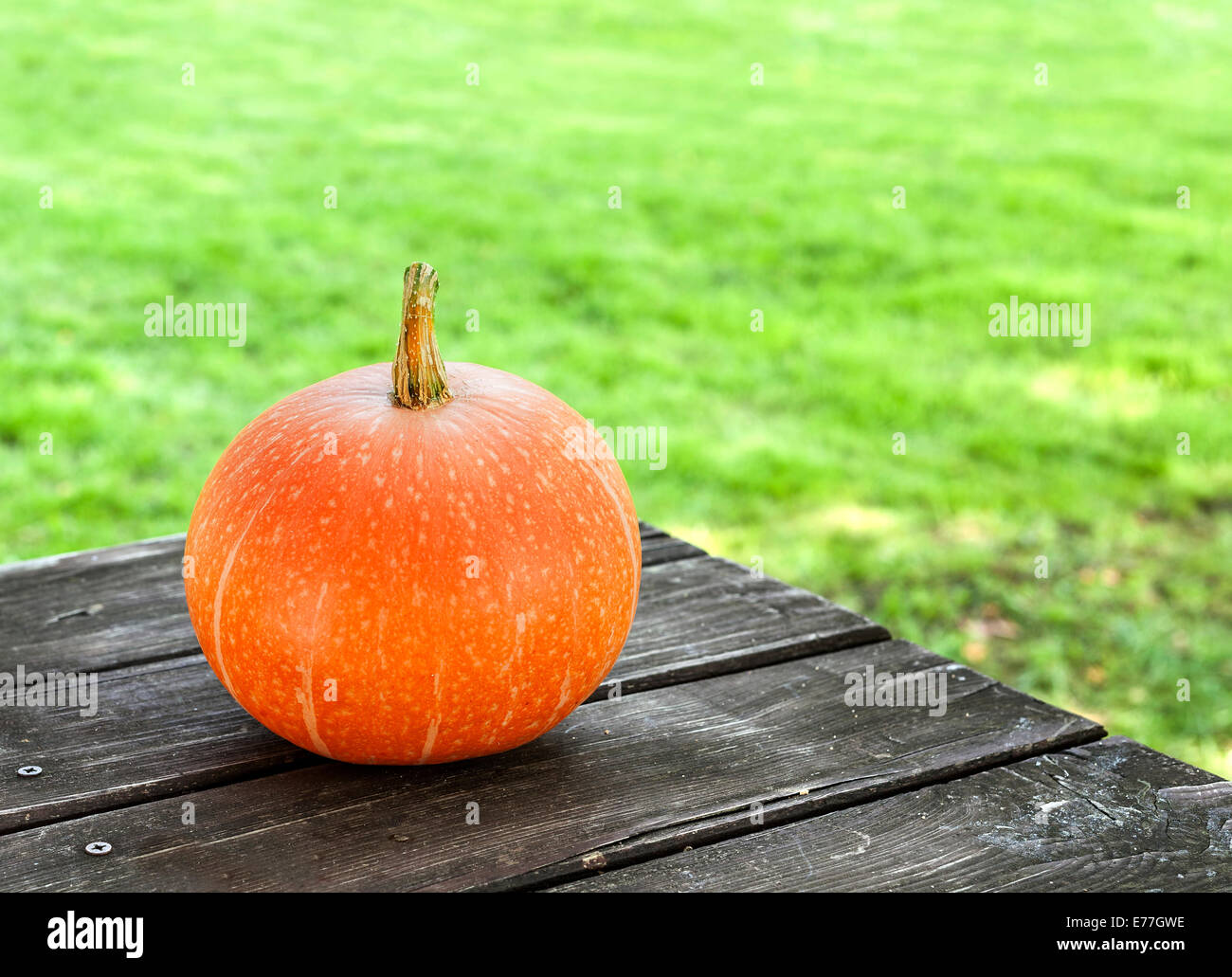 Vegetable garden fall hi-res stock photography and images - Alamy