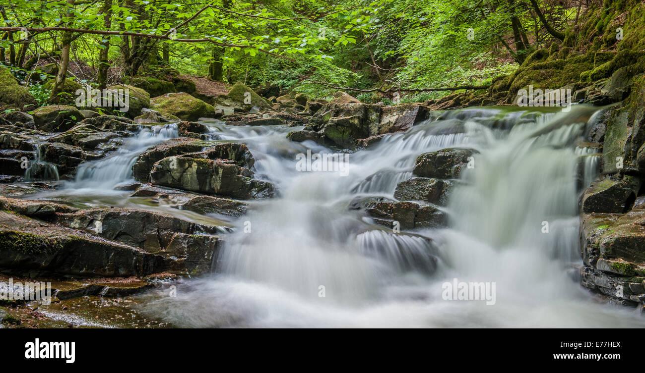 Moness burns hi-res stock photography and images - Alamy