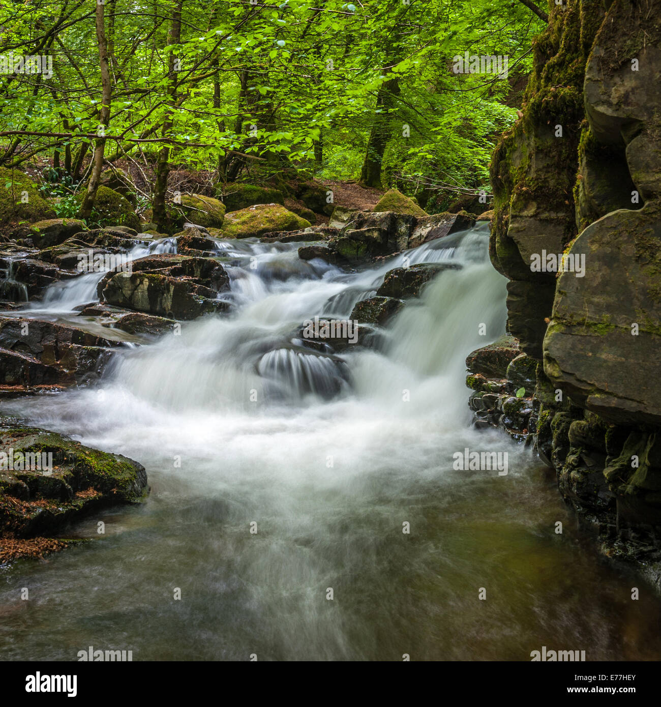 Moness Gorge, Aberfeldy also known as Birks of Aberfeldy Stock Photo ...