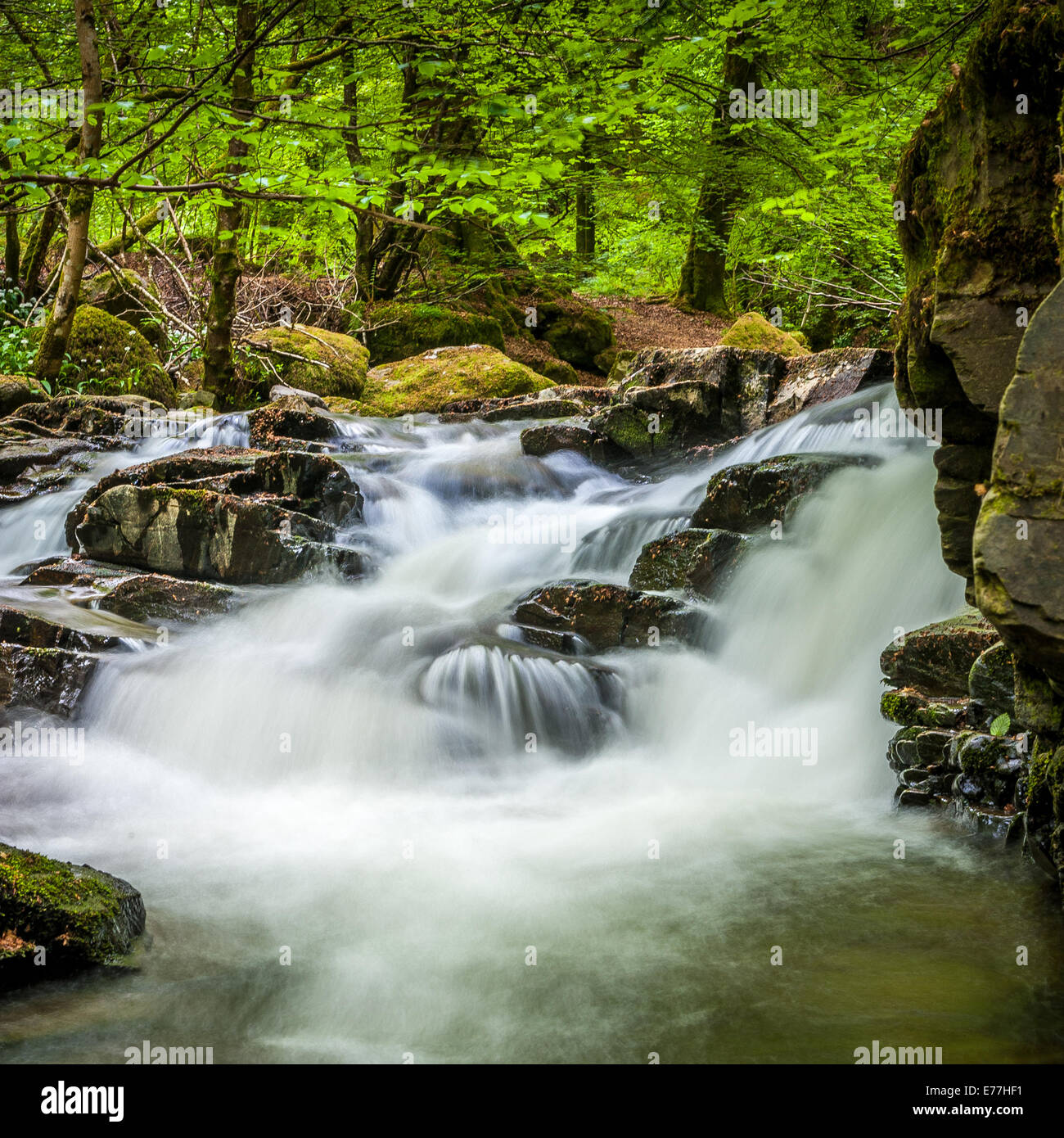 Waterfalls on river in Moness Gorge, also know as Birks of Aberfeldy ...