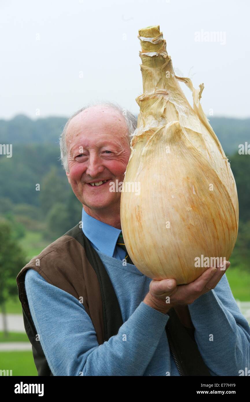 Heaviest onion hi-res stock photography and images - Alamy