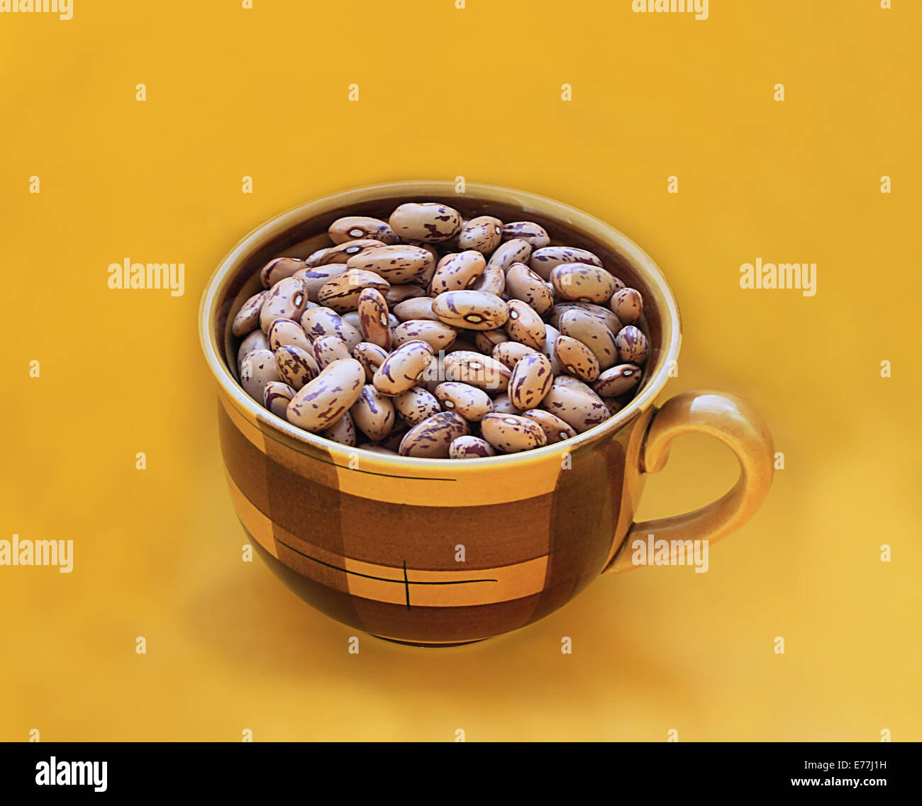 Haricot plant hi-res stock photography and images - Alamy