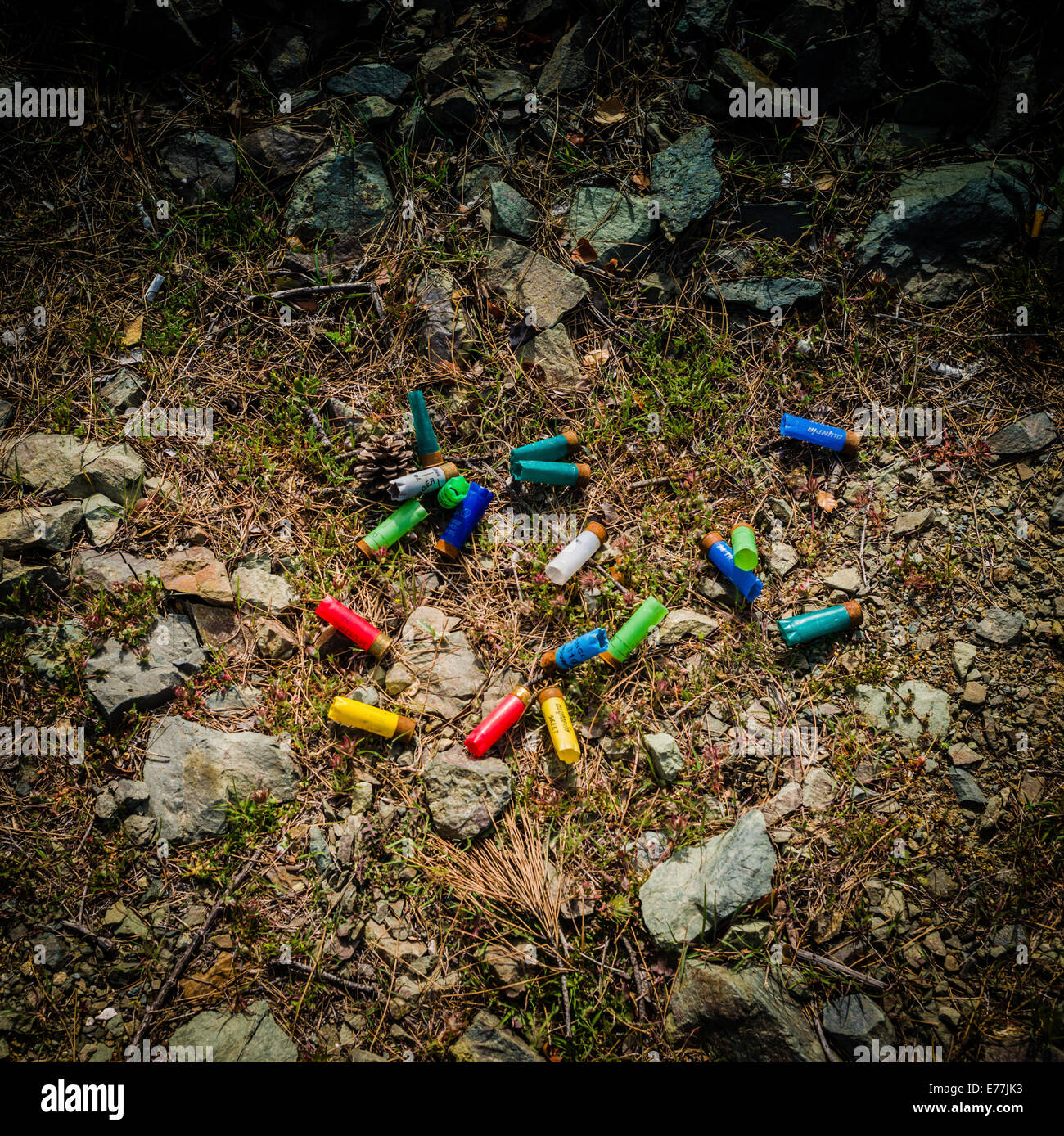 Spent Shotgun Shell casings in Cyprus Stock Photo - Alamy