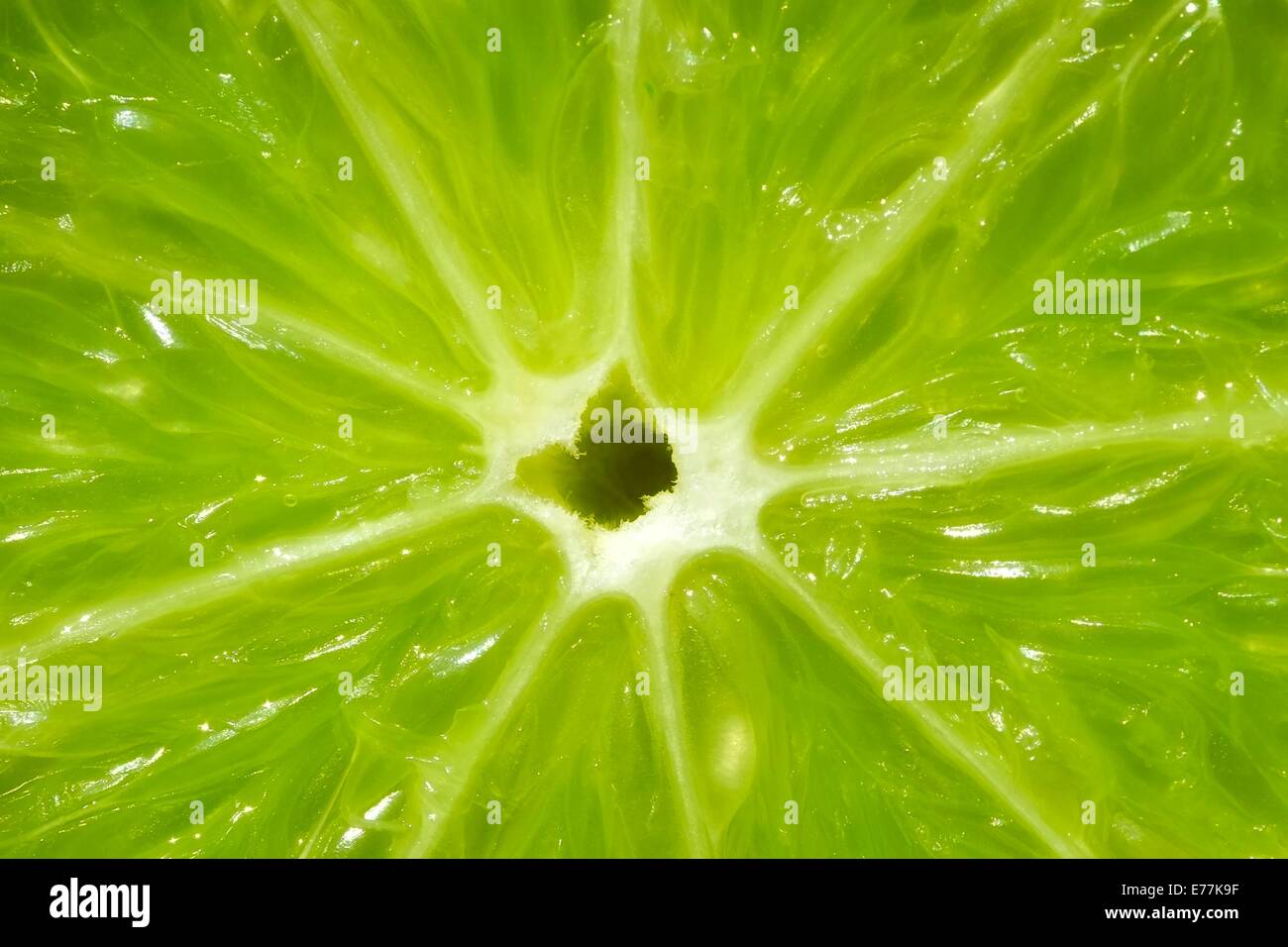 Close up of a slice of lime Stock Photo - Alamy