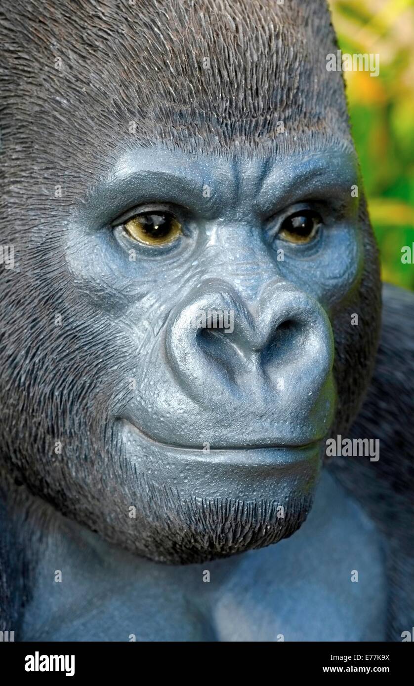 Gorilla face hi-res stock photography and images - Alamy