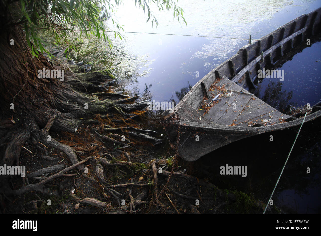 A boat filled with water on a river bank Stock Photo - Alamy