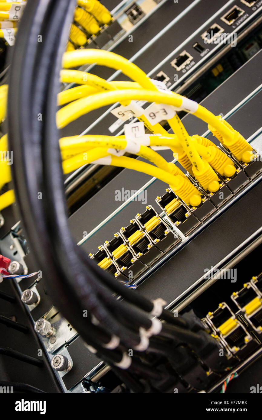 Ethernet cables plugged into a high end router machine at a computer ...