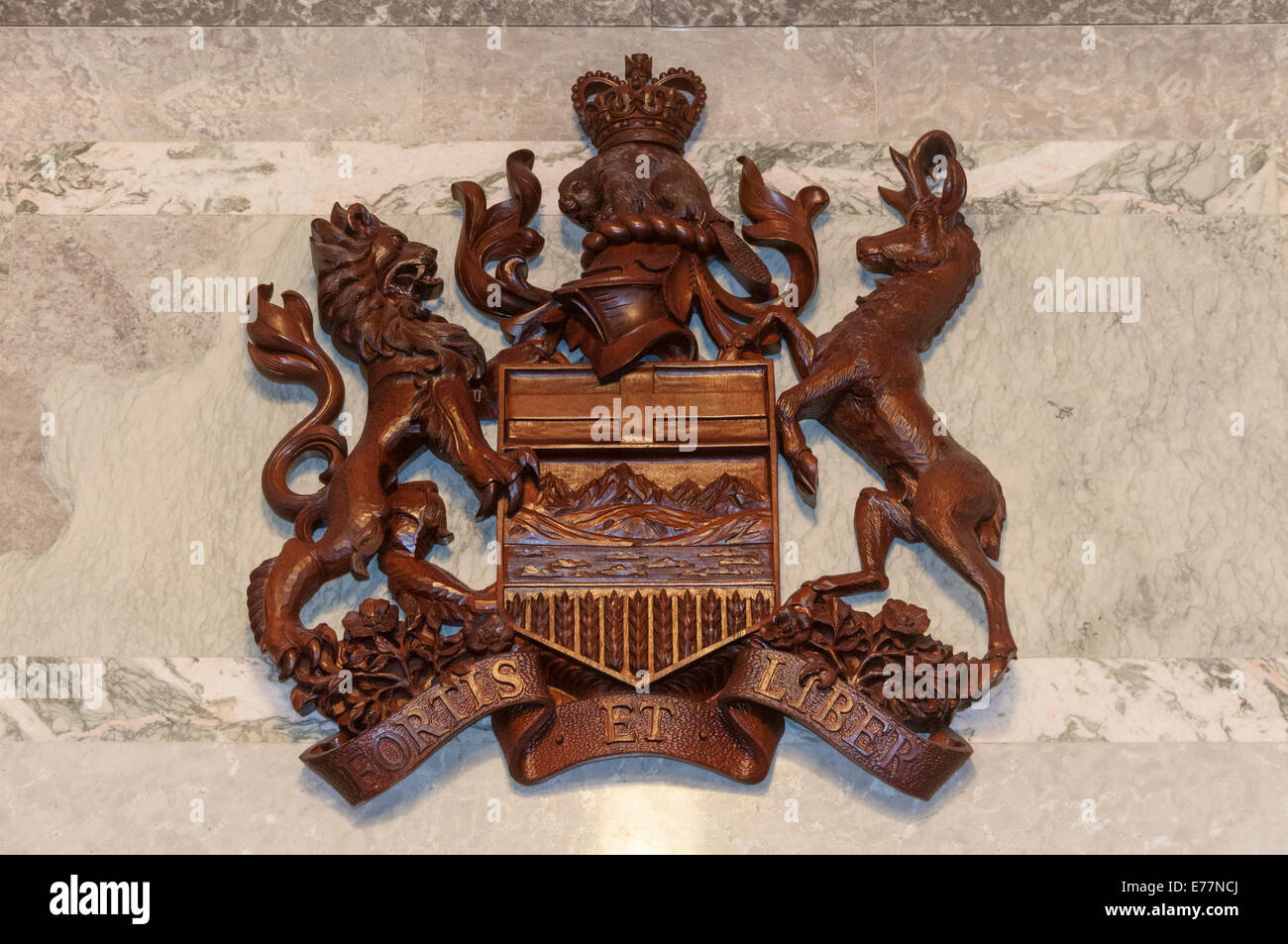 Elk203 5202 hi-res stock photography and images - Alamy