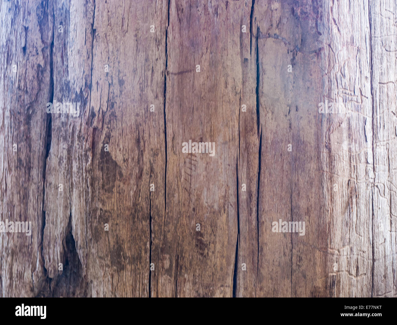 old wooden bark in nature Stock Photo - Alamy