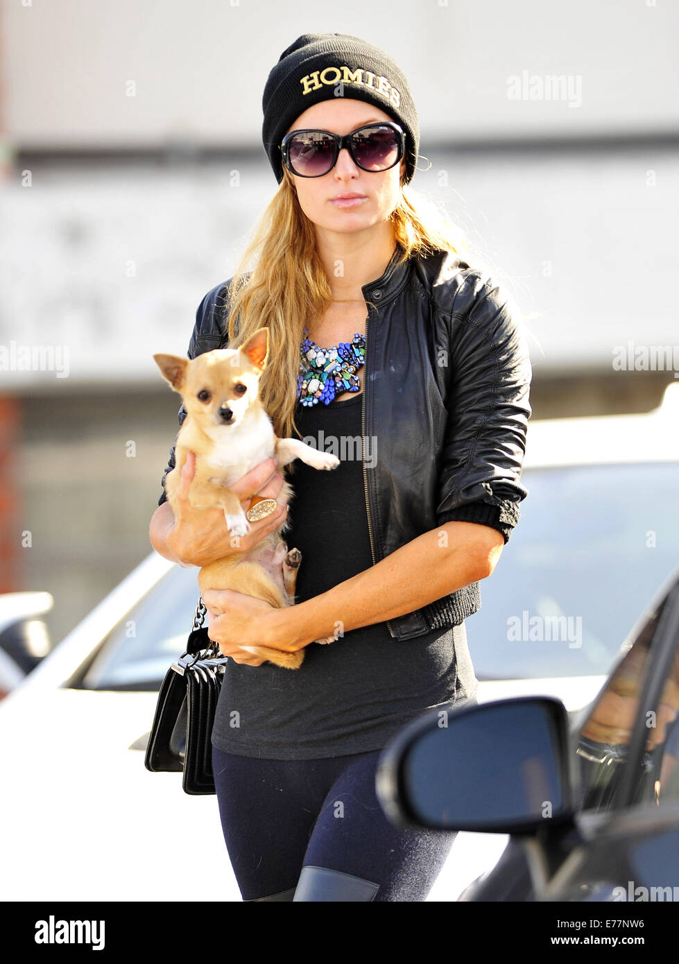 Paris Hilton and her toy pet dog Chihuahua 'Peter Pan' arriving at ...