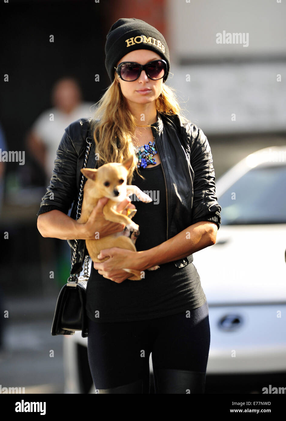Paris Hilton and her toy pet dog Chihuahua 'Peter Pan' arriving at ...