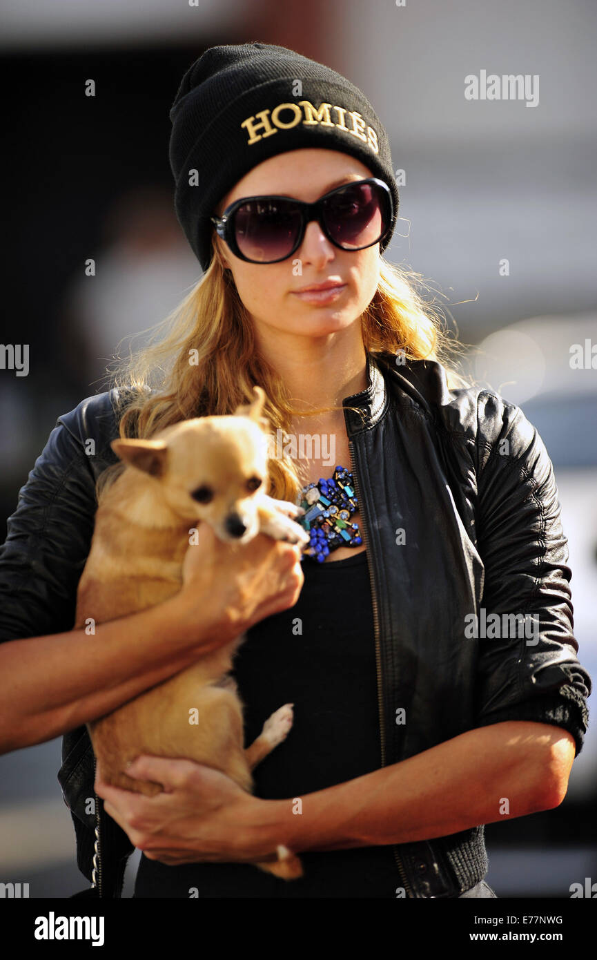 Paris Hilton and her toy pet dog Chihuahua 'Peter Pan' arriving at ...