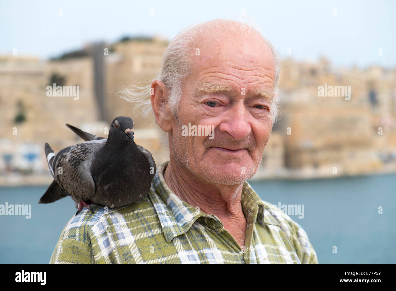 Pigeon on shoulder hi-res stock photography and images - Alamy