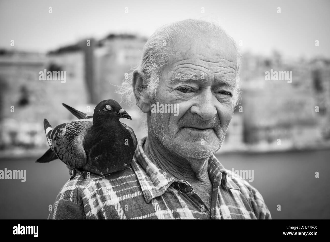 Man with a pigeon on his shoulder Stock Photo - Alamy