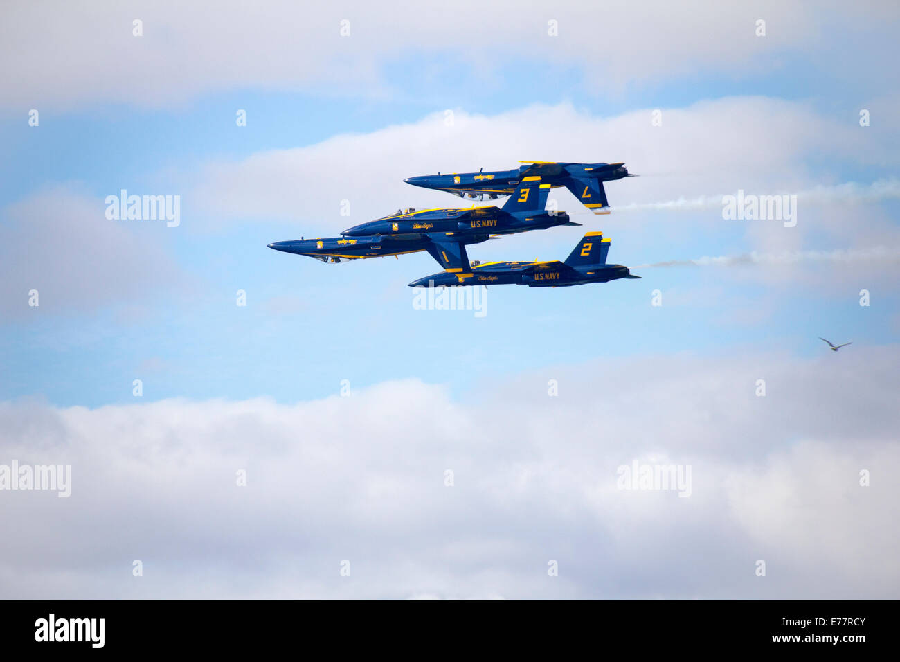 U.S. Navy Blue Angels performing during fleet week, San Francisco ...