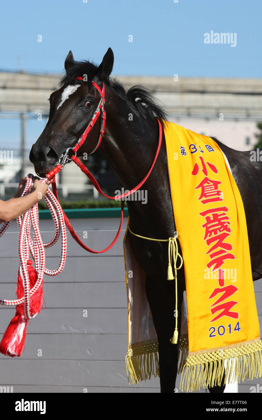 Fukuoka, Japan. 7th Sep, 2014. Omi Alice Horse Racing : Omi Alice after ...