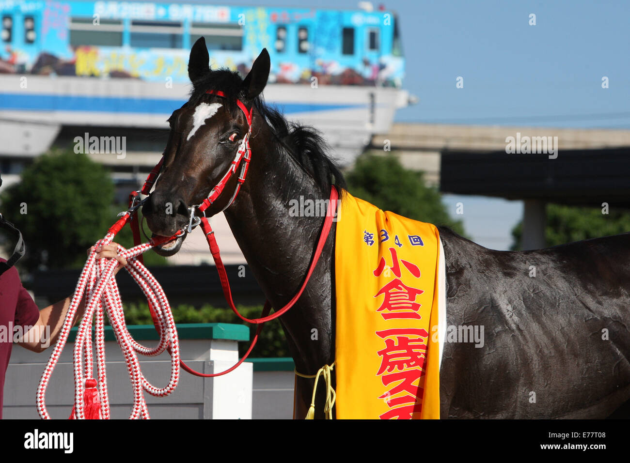 Fukuoka, Japan. 7th Sep, 2014. Omi Alice Horse Racing : Omi Alice after ...