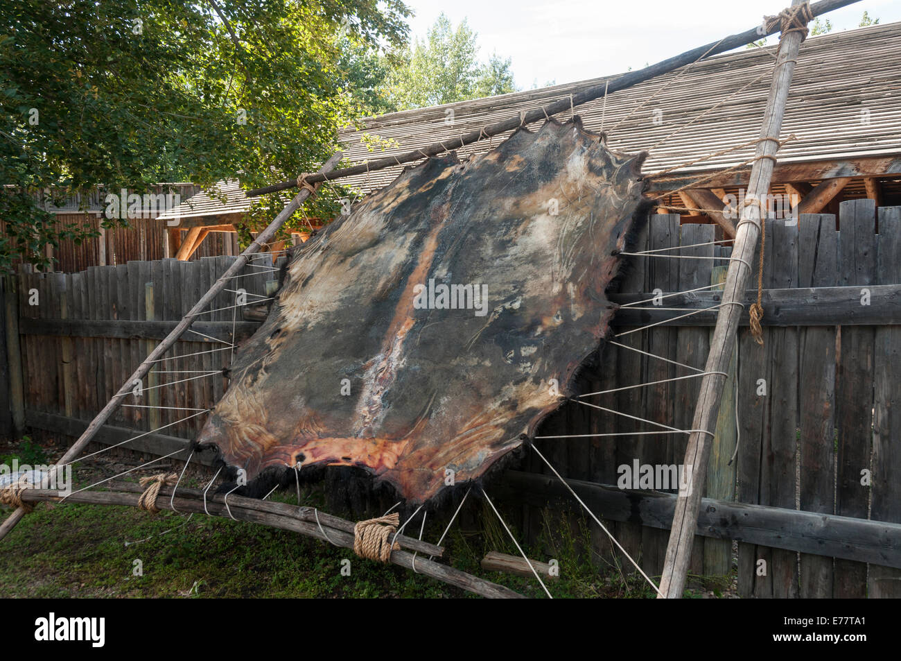 Rawhide hi-res stock photography and images - Alamy