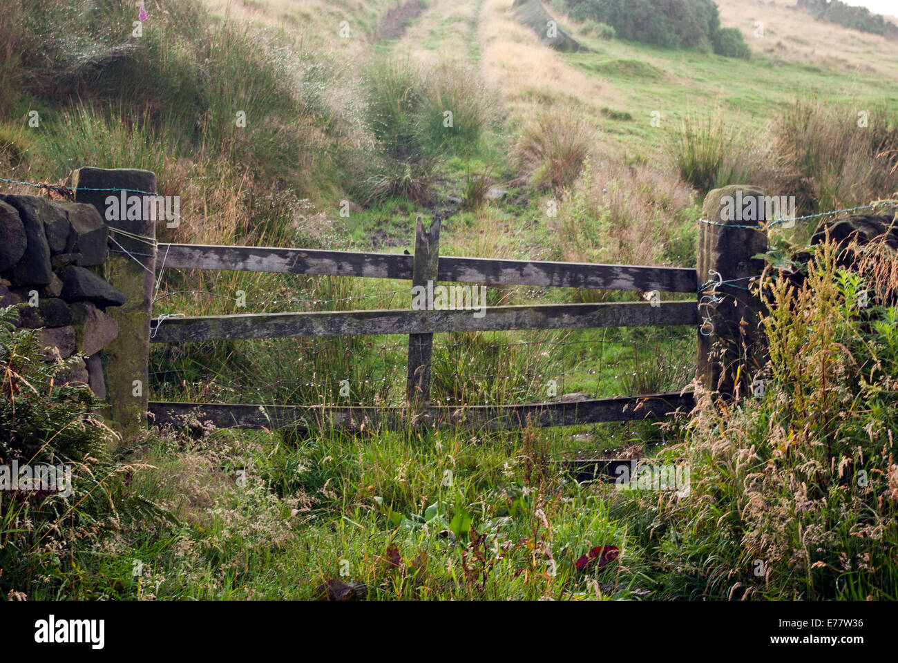 Farmers gate hi-res stock photography and images - Alamy