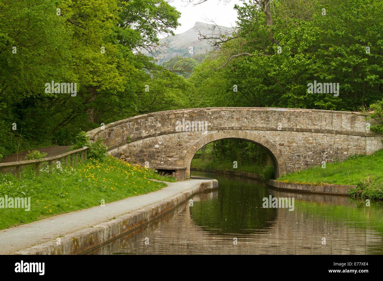 English woodlands and historic arched red brick bridge over Llangollen ...