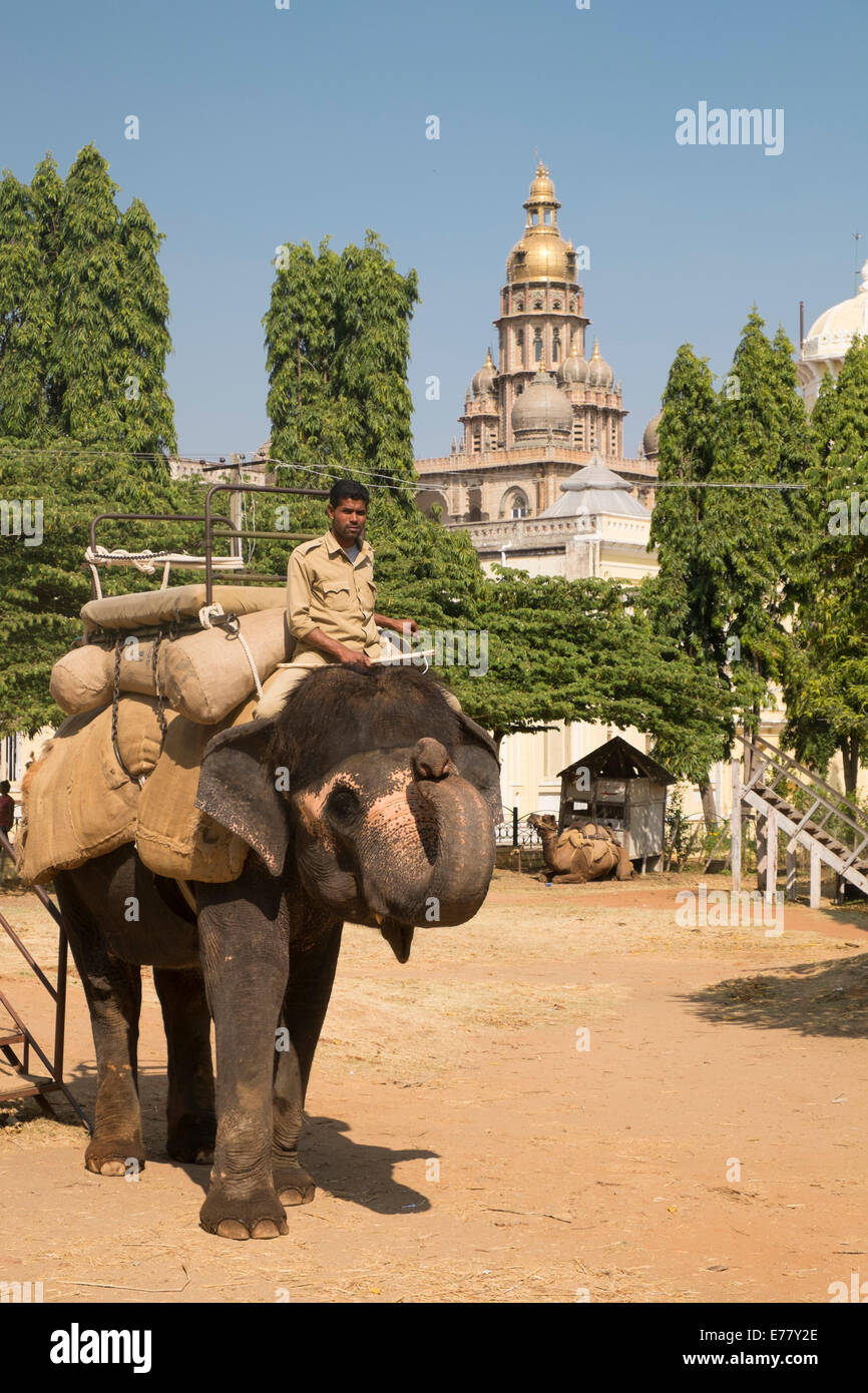 Mahout riding an Indian elephant, Mysore Palace, Mysore, Karnataka ...