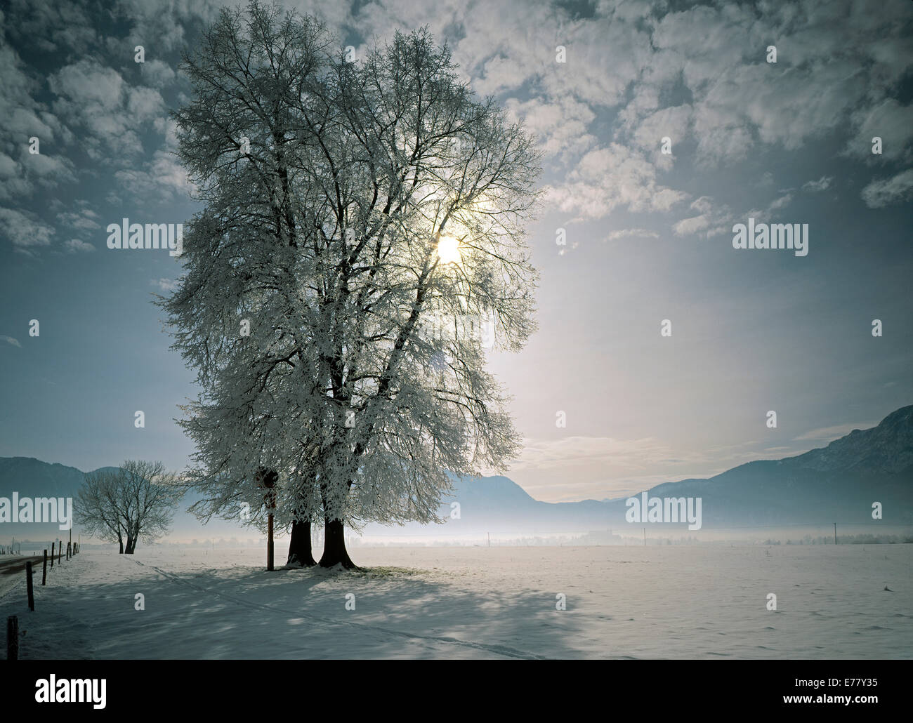 Winter on Lake Kochel, Upper Bavaria, Bavaria, Germany Stock Photo - Alamy