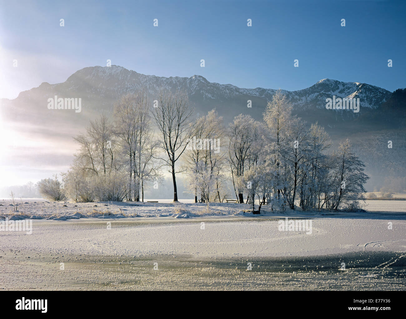 Winter at the kochelsee in front of herzogstand heimgarten mountains hi ...