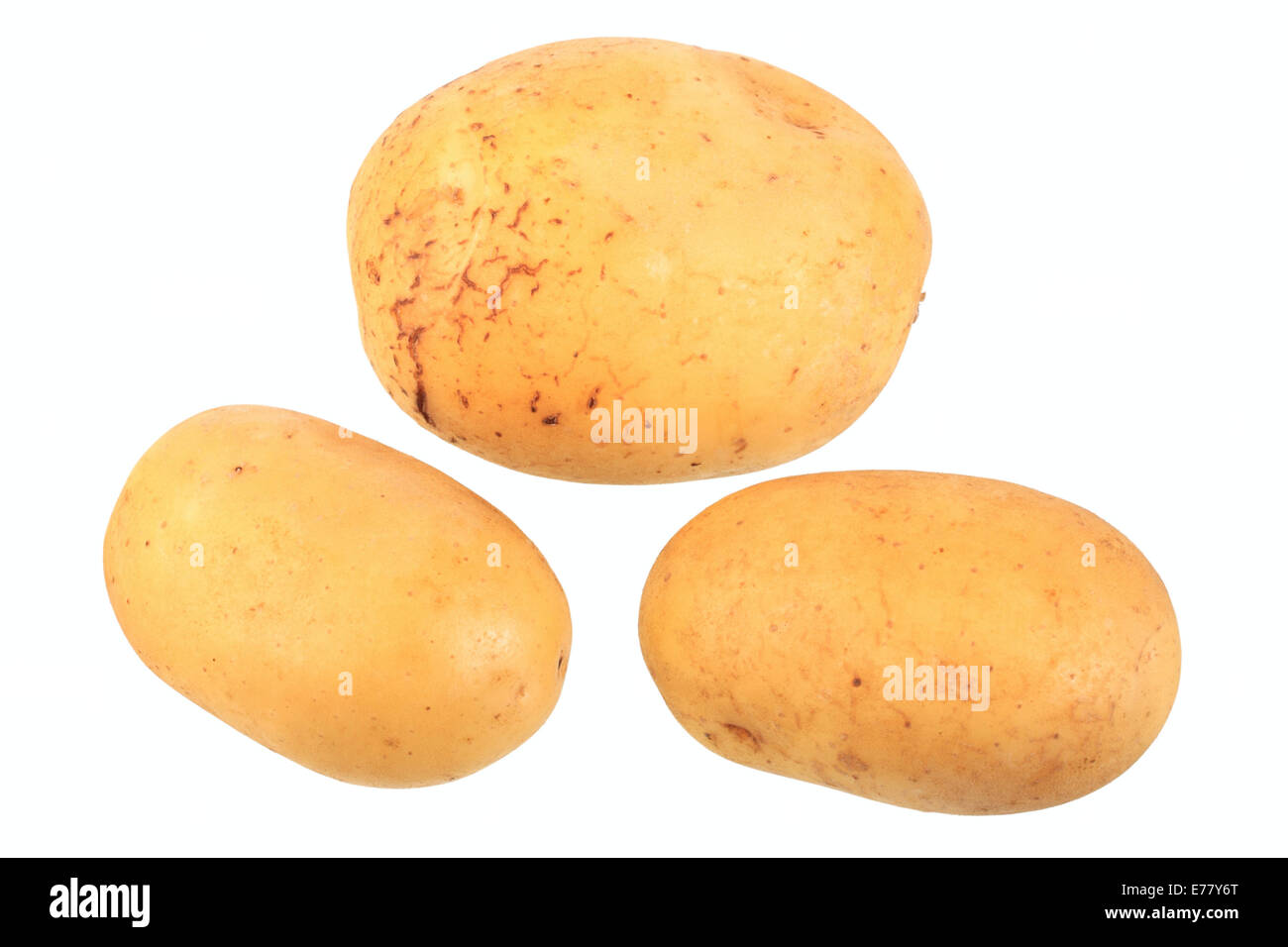 Potatoes, Concordia variety Stock Photo - Alamy