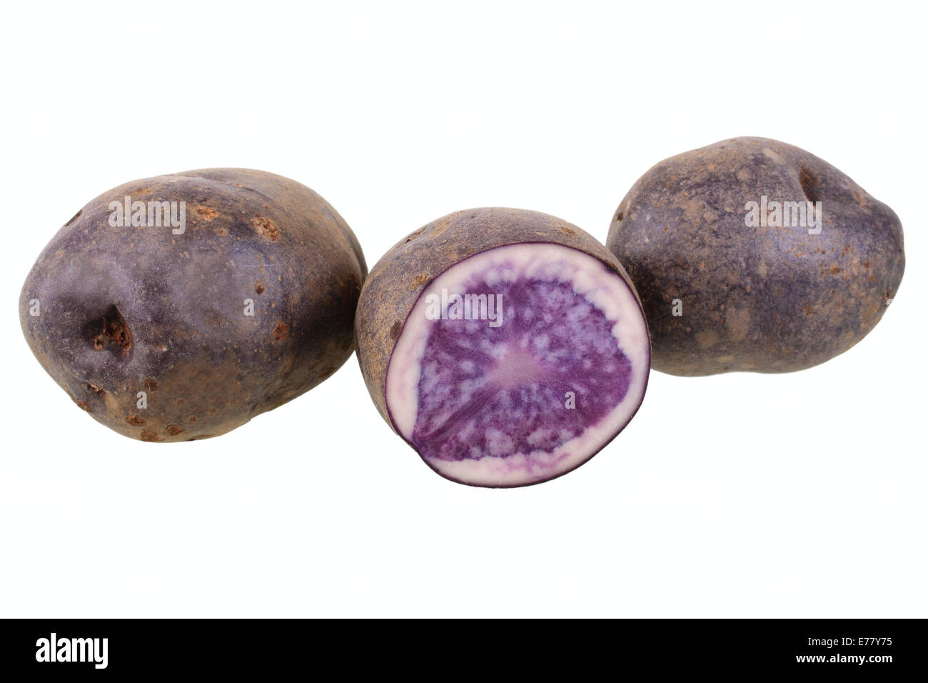 Blauer schwede hi-res stock photography and images - Alamy