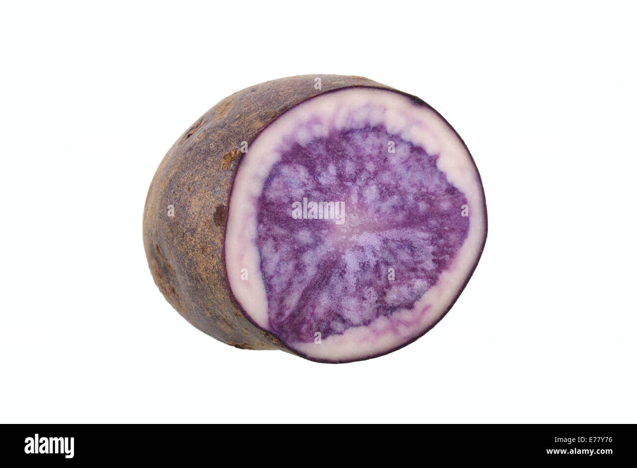 Blauer Schwede High Resolution Stock Photography and Images - Alamy
