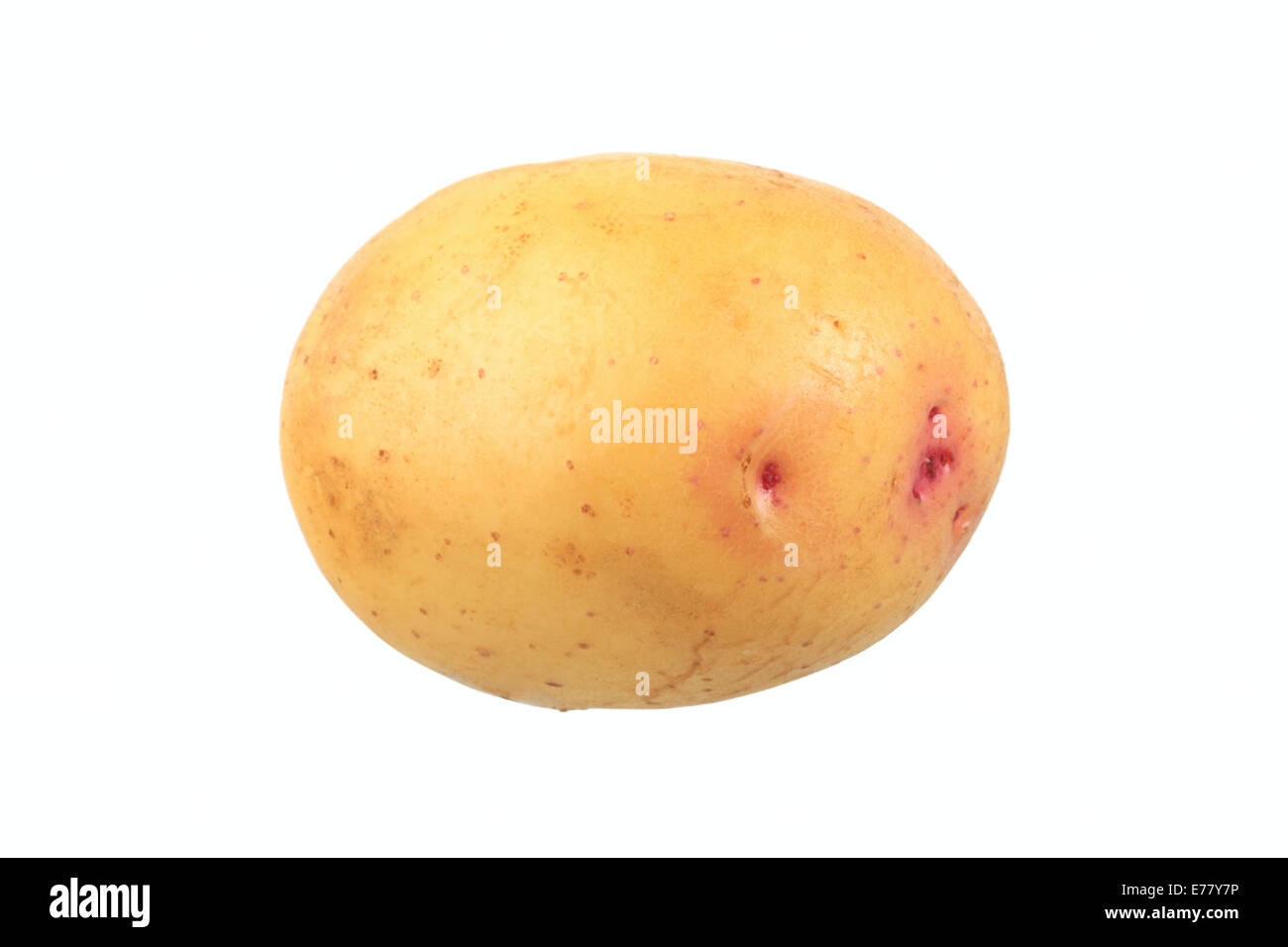 Potato, Augusta variety Stock Photo - Alamy