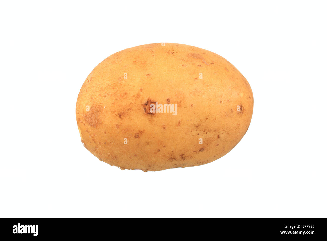 Potato, Agria variety Stock Photo - Alamy