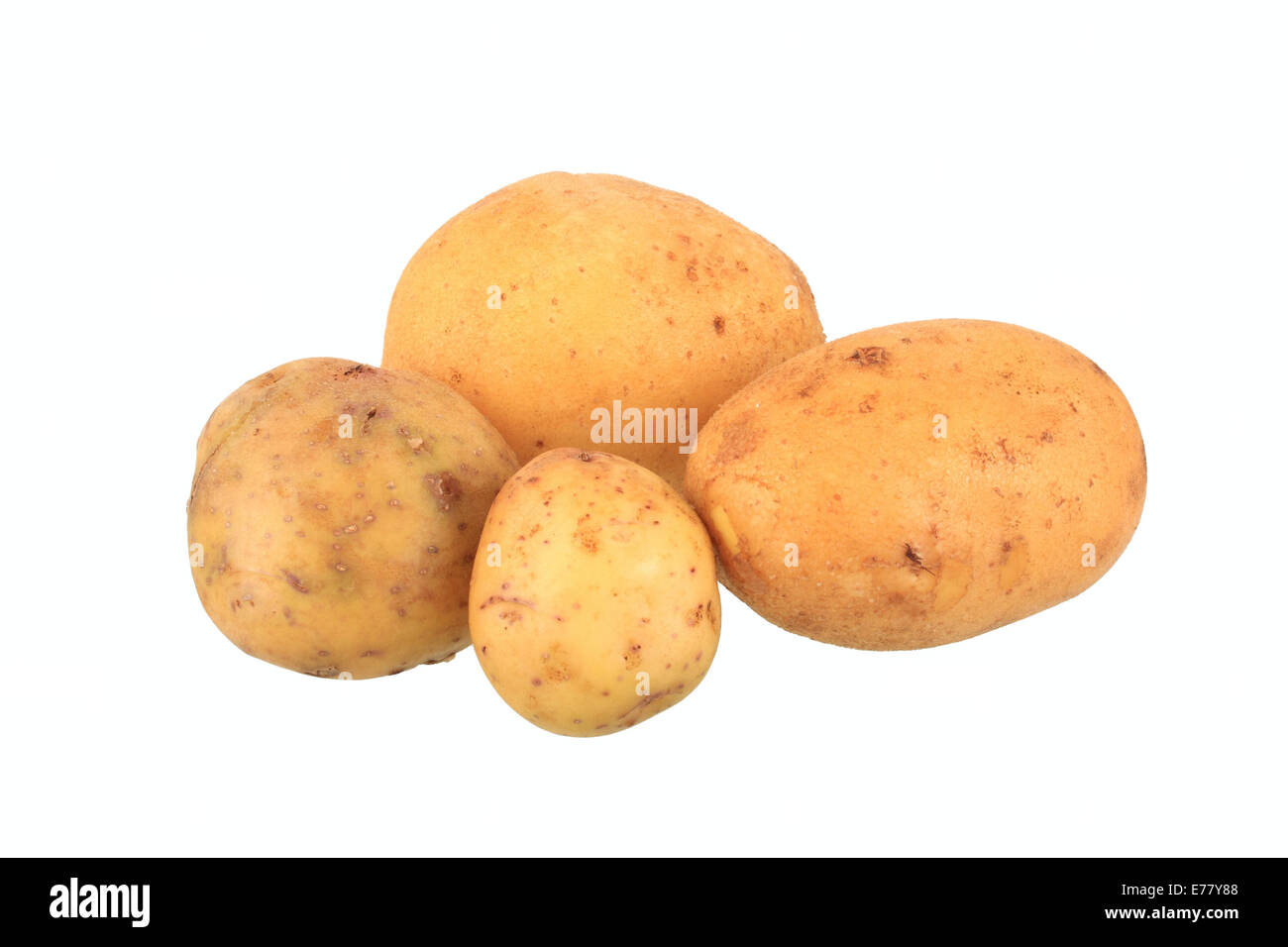Agria potatoes hi-res stock photography and images - Alamy