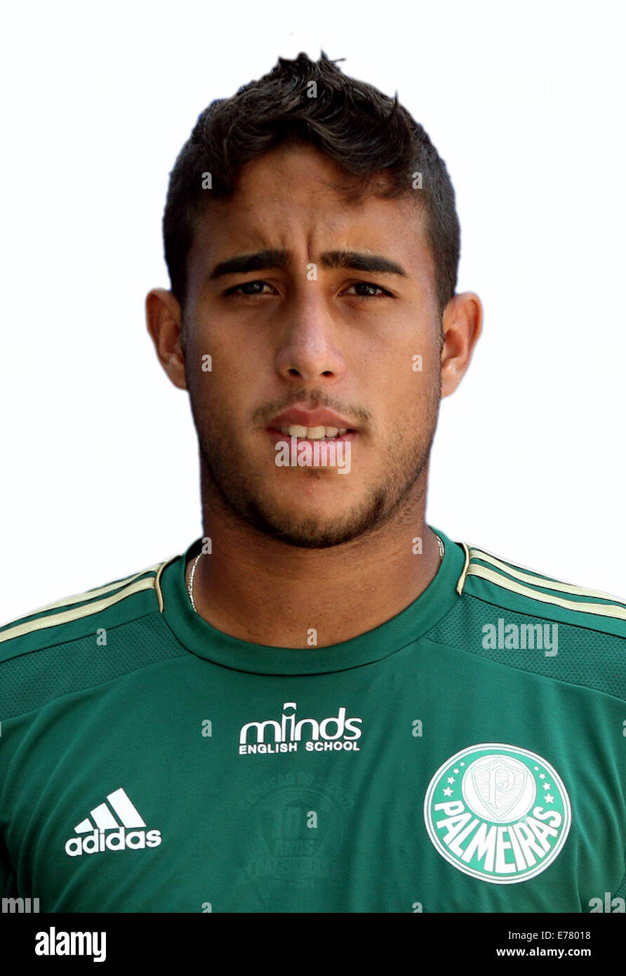 Brazilian Football League Serie A / ( Sociedade Esportiva Palmeiras ...