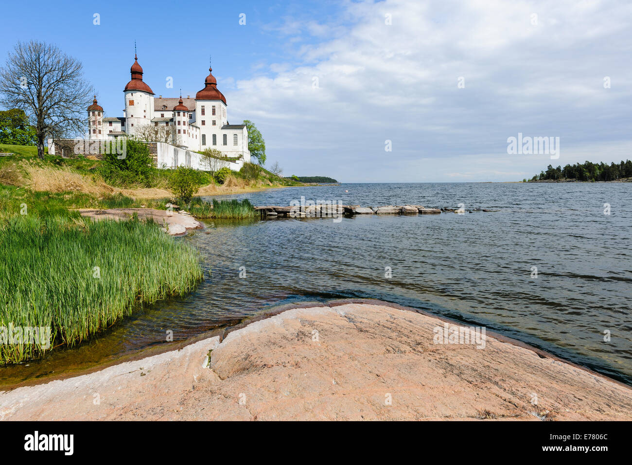 Bare tree and a castle on shores of Lake Vänern Stock Photo - Alamy