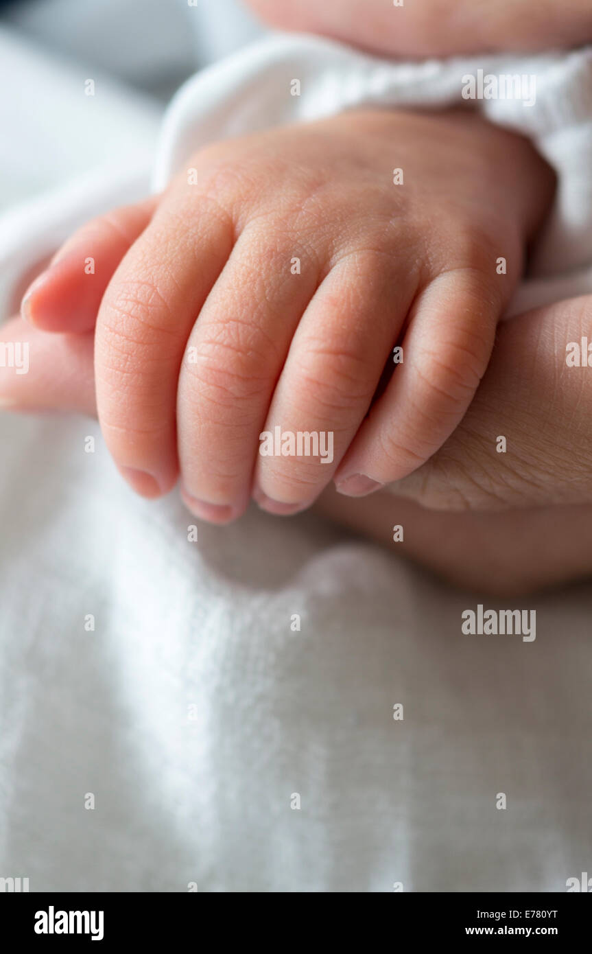 New born babies hand Stock Photo - Alamy