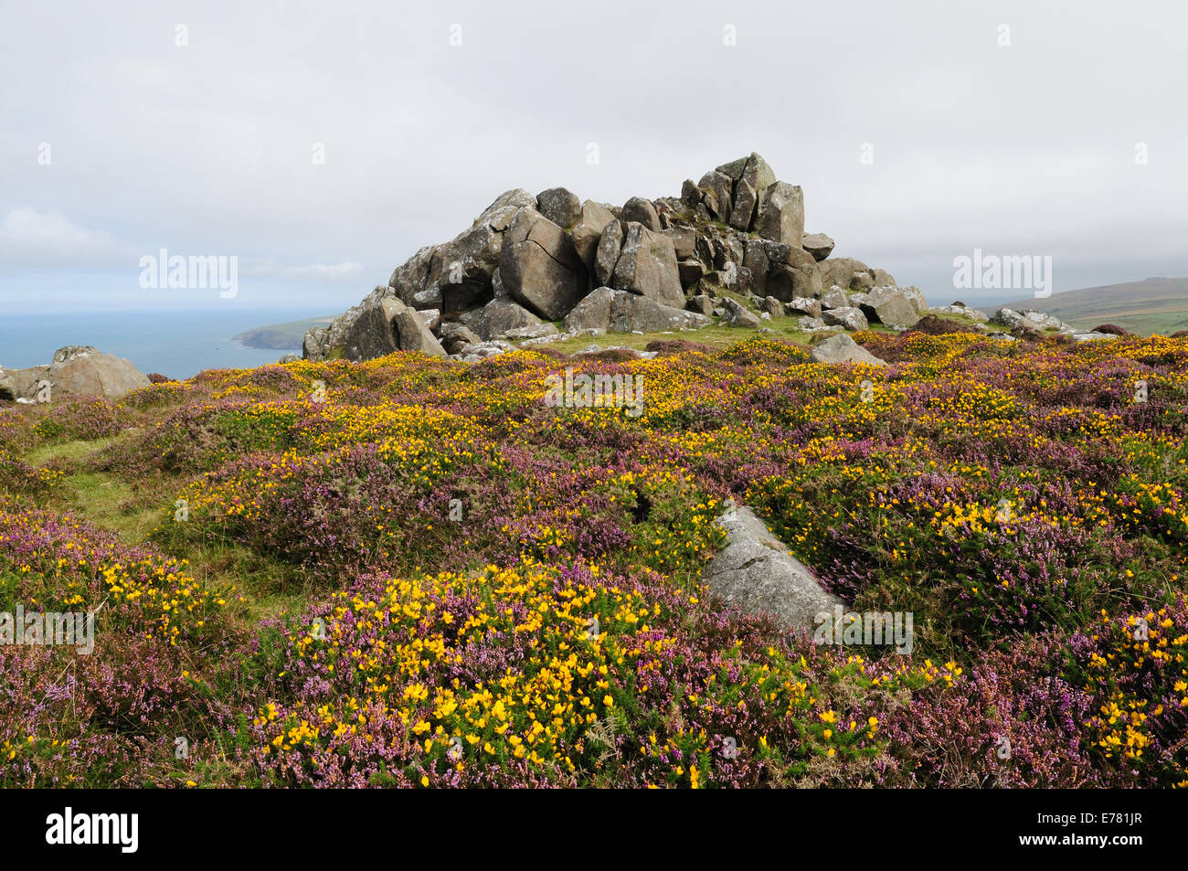 Carn Enoch on Mynydd Dinas Pembrokeshire National Park Wales Cymru UK ...