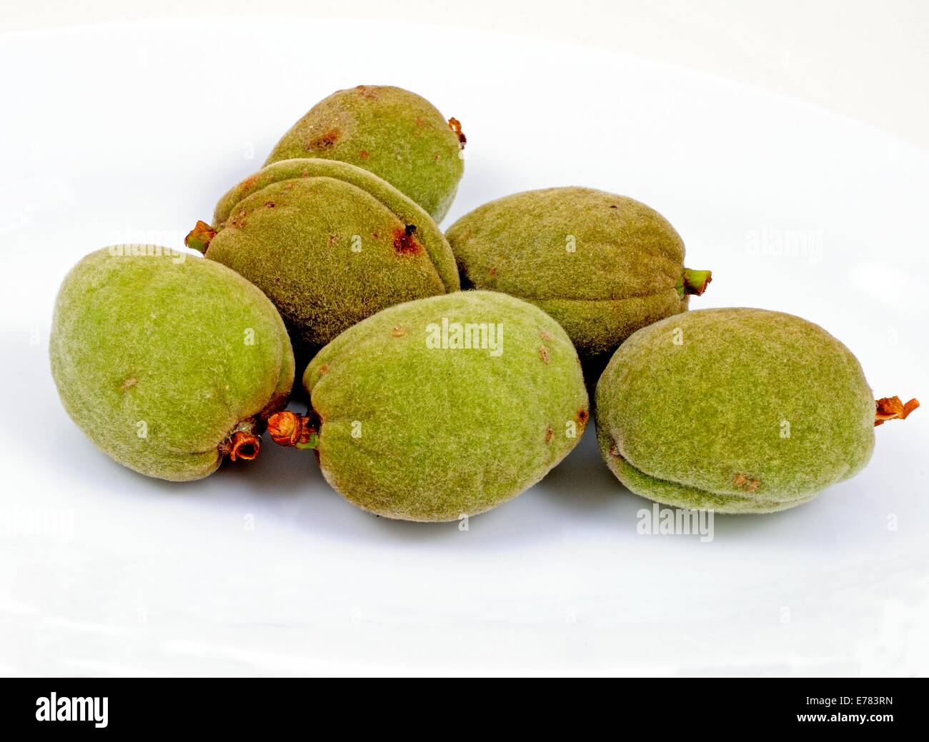 Furry casing hi-res stock photography and images - Alamy