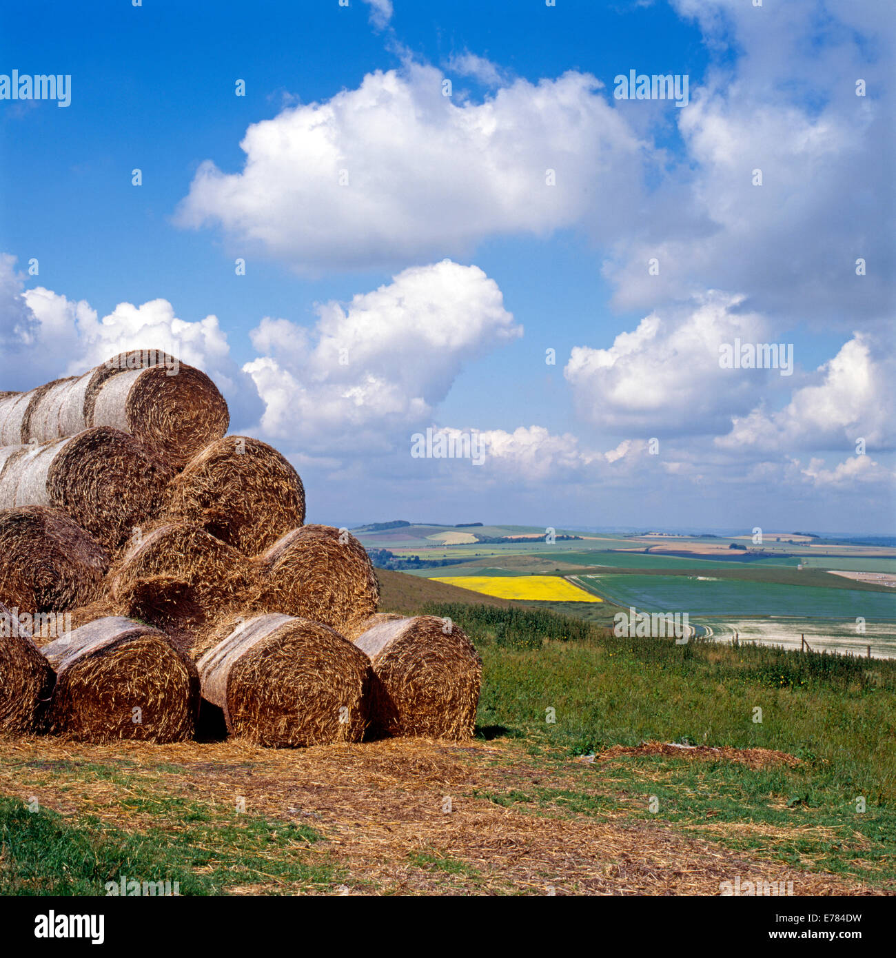 All cannings hi-res stock photography and images - Alamy