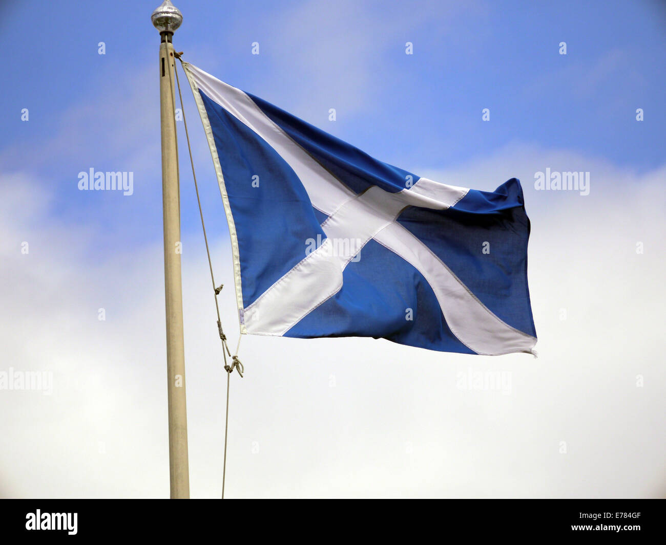 Scottland flag hi-res stock photography and images - Alamy