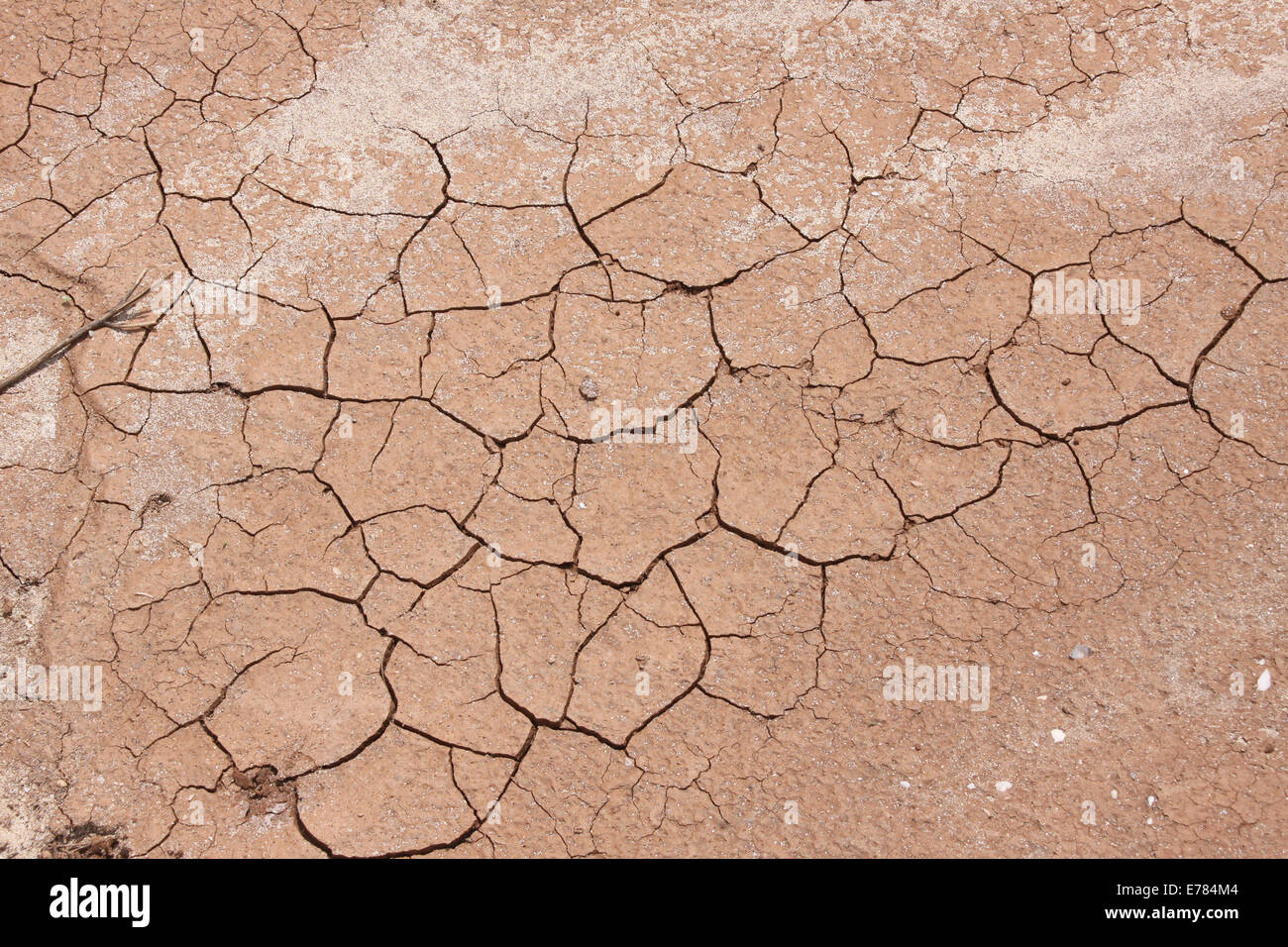Cracks in the Sand Stock Photo - Alamy