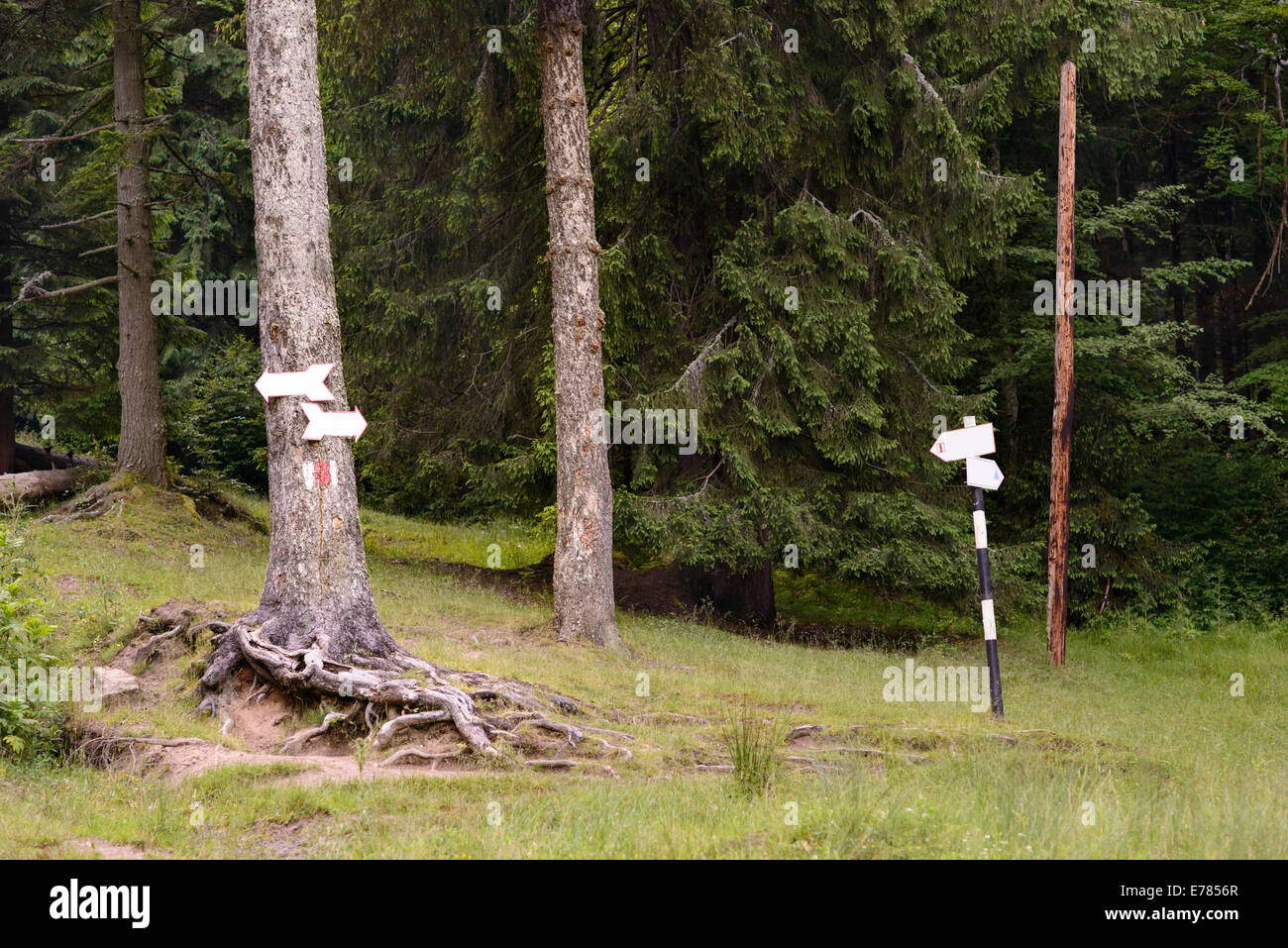 Signs on trees hi-res stock photography and images - Alamy